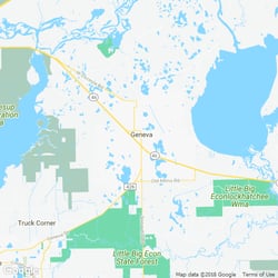 11 Best Tree Care Services in Geneva, FL | Tree Removal