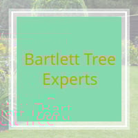 Williamsburg, VA Landscaping from $29 | #1 Landscapers | Best of 2020