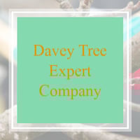 10 Best Tree Care Services in Jacksonville, FL | Tree Trimming