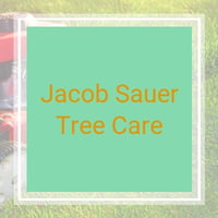 10 Best Tree Care Services in Columbus, OH | Tree Trimming