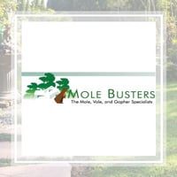 San Jose, CA Landscaping from $29 | #1 Landscapers | Best of 2020