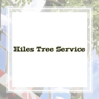 11 Best Tree Care Services in Ocala, FL | Tree Removal