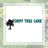 15 Best Tree Care Services in Omaha, NE | Tree Trimming