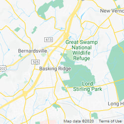 Basking Ridge, NJ Landscaping from $29 | #1 Landscapers | Best of 2020