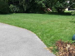 Philadelphia, PA Landscaping from $29 | #1 Landscapers | Best of 2020