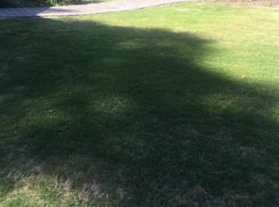 Roswell, GA Landscaping from $29 | #1 Landscapers | Best of 2020