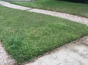 10 Best Lawn Care Services in Vancouver, WA 2020 | LawnStarter