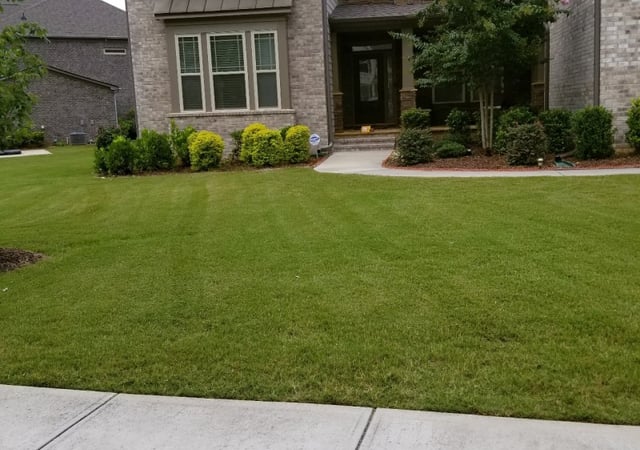 #1 St. Louis, MO Lawn Care Service | Lawn Mowing from $19 | Best 2020